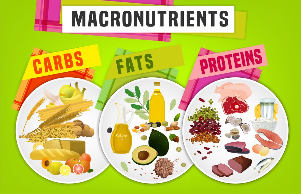 Understanding Dietary Macronutrients